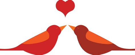 Bird Face Vector Art Png Images Free Download On Pngtree