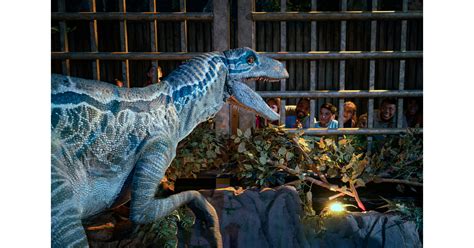 Jurassic World The Exhibition Roars Into Toronto On April 14 2023 For