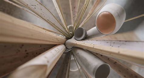 Temporal Orientation → Term Temporal Orientation → Term