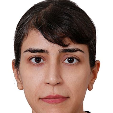Fatemeh Mohammadi Behbahani Istanbul Technical University Istanbul Department Of Electrical