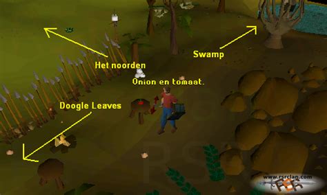 Runescape Revolution Osrsquests Big Chompy Bird Hunting