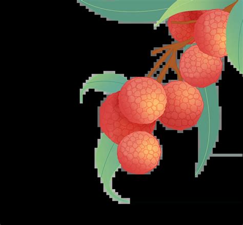 千库网红荔枝插画png图片元素编号14508055 花瓣网