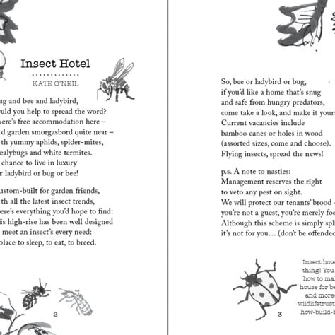 The Bee Is Not Afraid Of Me A Book Of Insect Poems The Emma Press