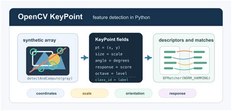 Opencv Solvepnp In Python Camera Pose And Reprojection