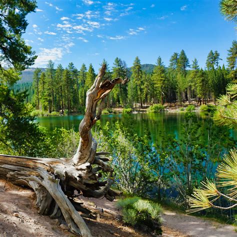 Manzanita Lake All You Should Know Before Going 2026 With Reviews