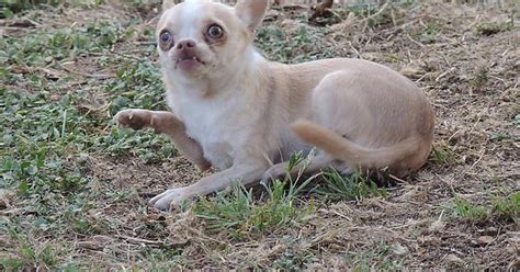 The Derpiest Derp That Ever Derped Album On Imgur