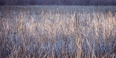 Malakoff Diggins Pond Print Only Clos Saron