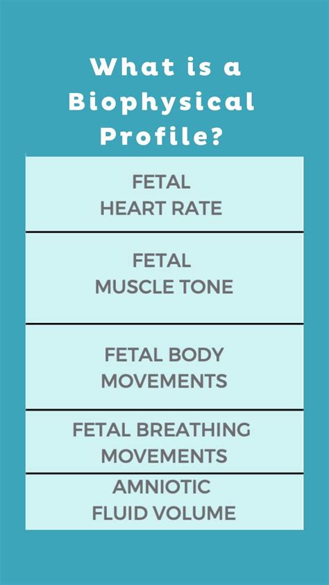 What Is A Biophysical Profile Test In Pregnancy — 4th Trimester