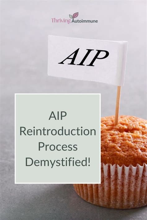 Aip Reintroduction Process Demystified Thriving On Paleo
