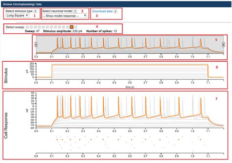 Cell Types Database Physiology And Morphology Allen Cell Types Database Allen Brain Map