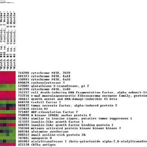 Hierarchical Clustering Analysis Of Gene Expression Data From 23 Cancer Download Scientific