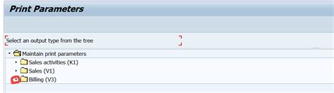 Techsap Setting Print Parameters In Sap Sd