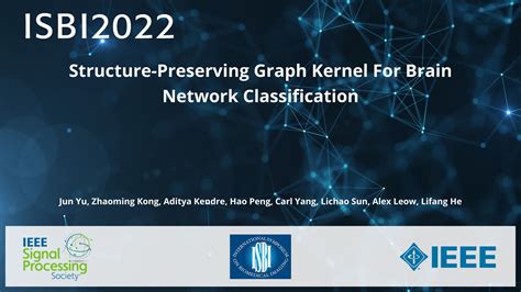 Structure Preserving Graph Kernel For Brain Network Classification