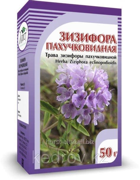 Зизифора пахучковидная, 50гр: продажа, цена в Павлодаре. Травяные сборы ...