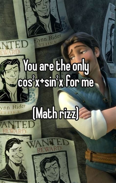 Math Rizz 😘 Nerd Jokes Really Funny Memes Nerdy Humor