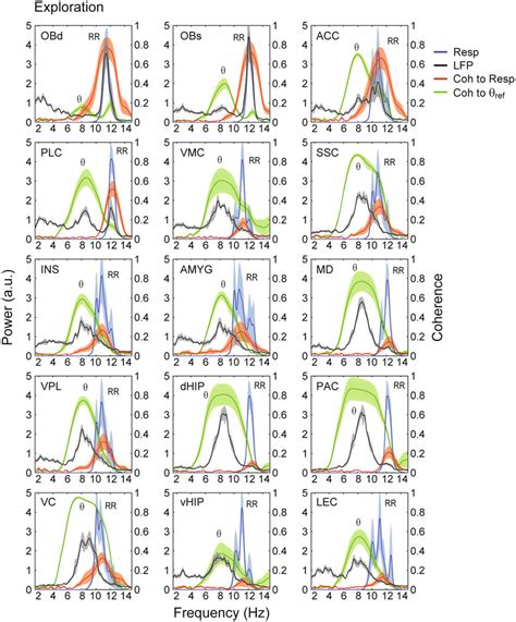 Parallel Detection Of Theta θ And Respiration Entrained Lfp Rhythm