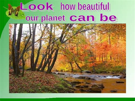 Презентация Ecological Problems 1