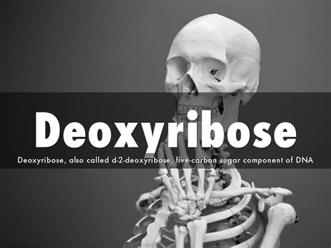 A Gene Is The Basic Physical And Functional Unit Of