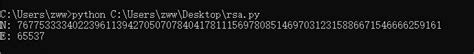 rsa256 ctf of z2bns