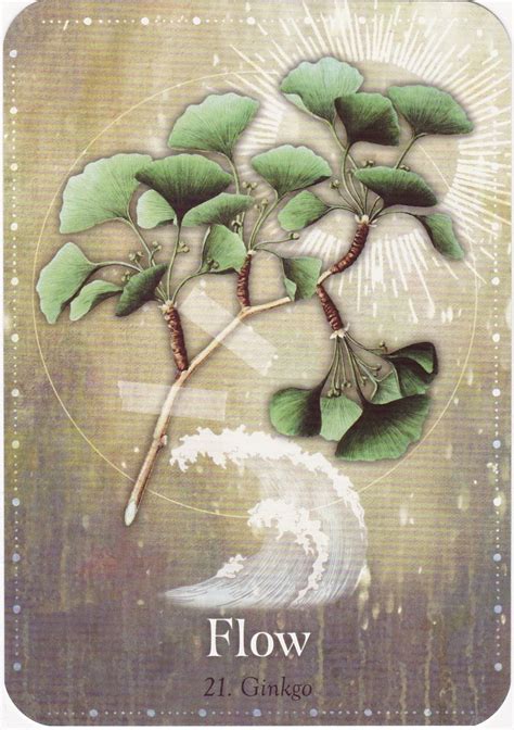 Secrets Of The Mystic Grove By Mary Alayne Thomas And Arwen Lynch Artofit