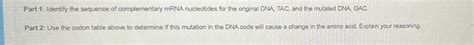 Part 1 Identify The Sequence Of Complementary Mrna Nucleotides For The Original Dna Tac And