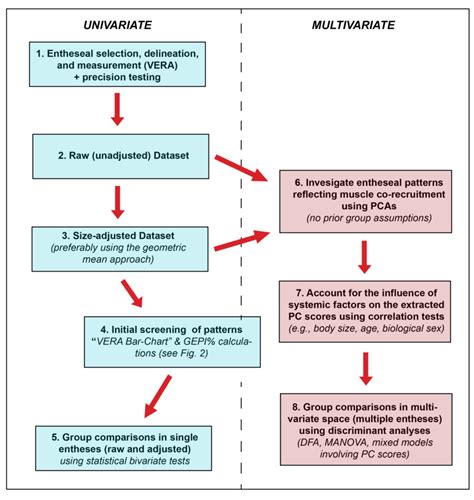 1a Vera Step By Step Statistical Protocol Figure 5 Diagram