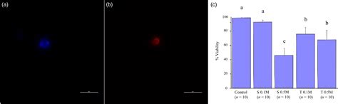 Morphological Evaluation Of Adult Domestic Cat Testicular Biopsy After
