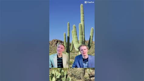 Mo Bamba Drewkey5000 Youtube