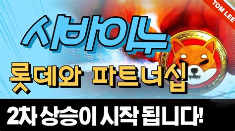 시바이누 이제 밈코인 아닙니다시바이누시바이누코인전망시바이누분석바이누시시세 Youtube