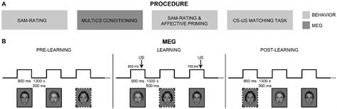 Figure 1 From Rapid Plasticity In The Prefrontal Cortex During Affective Associative Learning