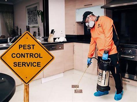 Pro Shield Marks A Decade Of Award Winning Service Proshield Pest Control Services