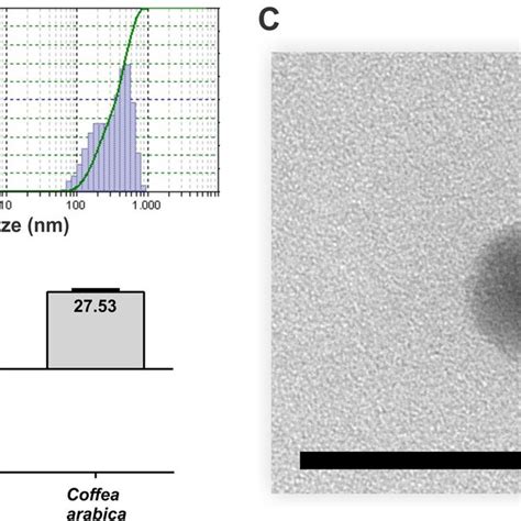 Nanoparticle Dls Graph As A Function Of Size Frequency A Comparison