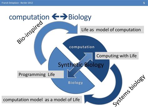 Ppt Biology And Computing Powerpoint Presentation Free Download Id 4844843