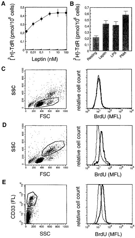 Leptin Stimulation Of Monocyte Proliferation A Dosedependent Effect