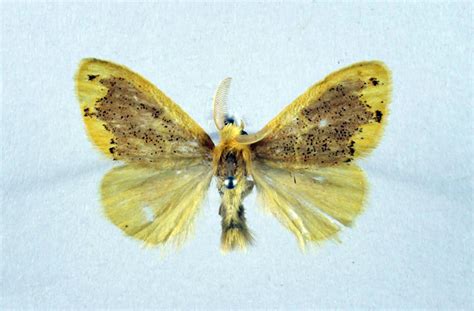 국립생물자원관 한반도의 생물다양성