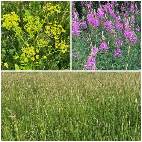 Teppo Virta Teppovirta Twitter