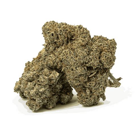 Candy Corn Aa Bud Hub Express