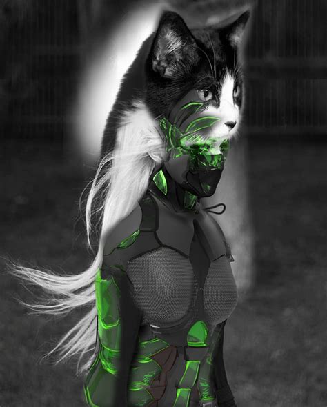 Artstation Cat Ninja