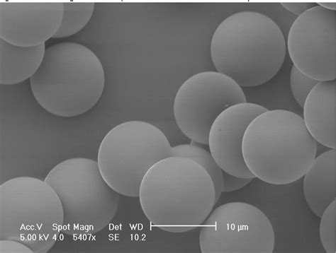Negative Regulation Of Endothelial Microparticle Formation Semantic