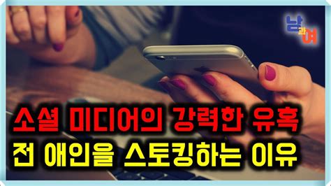 소셜 미디어의 강력한 유혹 전 애인을 스토킹하는 이유 애착과 중독 전 애인을 잊는 법 뇌 속에서의 연애와 중독 전