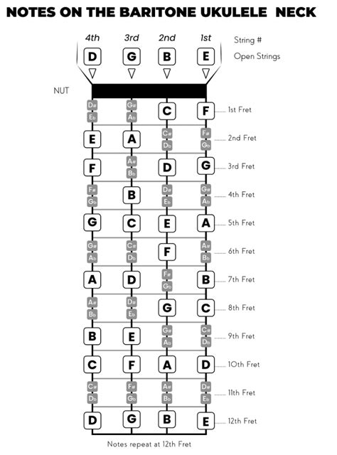 Learn All About The Baritone Ukulele Fretboard Notes Uke Like The