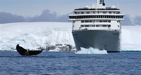 Interview Tom Wolber Ceo Of 196m The World