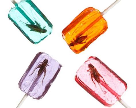 Hotlix Insect Lollipops Edible Bugs Edible Insects For Humans Bug Lollipops With Real Bugs In