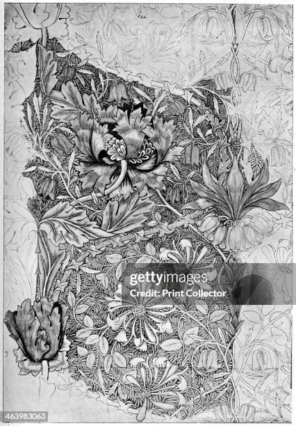 Honeysuckle Pattern Photos And Premium High Res Pictures Getty Images