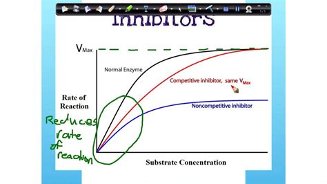 enzyme substrate complex graph