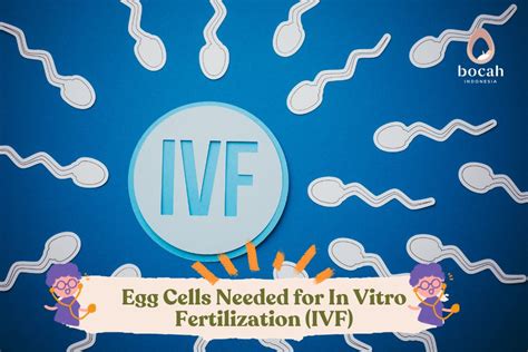Egg Cells Needed For In Vitro Fertilization Ivf
