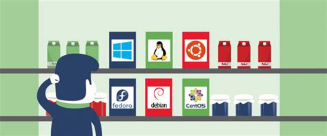 How To Choose The Operating System For Website Hosting