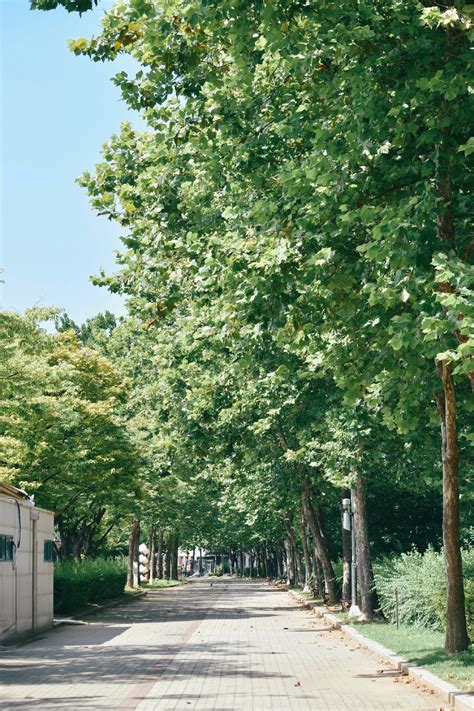 부동산 입지 분석 전라남도 순천시 에임리치