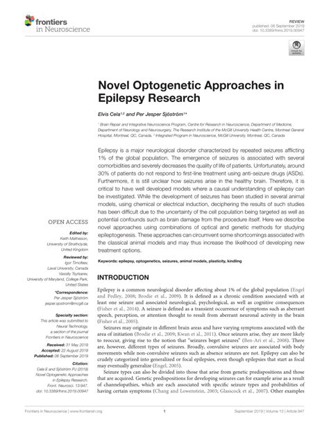 Pdf Novel Optogenetic Approaches In Epilepsy Research