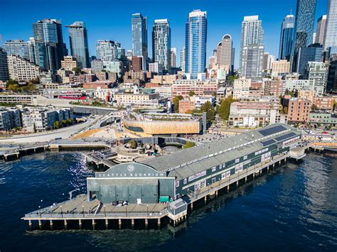 How Can We Make The Emerald City More Emerald Thats A Question That Should Guide Seattles